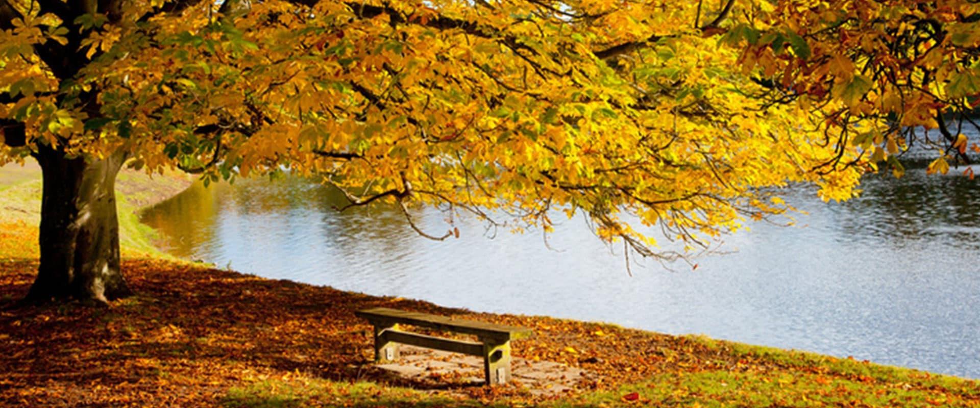 The Doodle Bomb Phenomenon: Hattie Stewart | Perrier Magazine